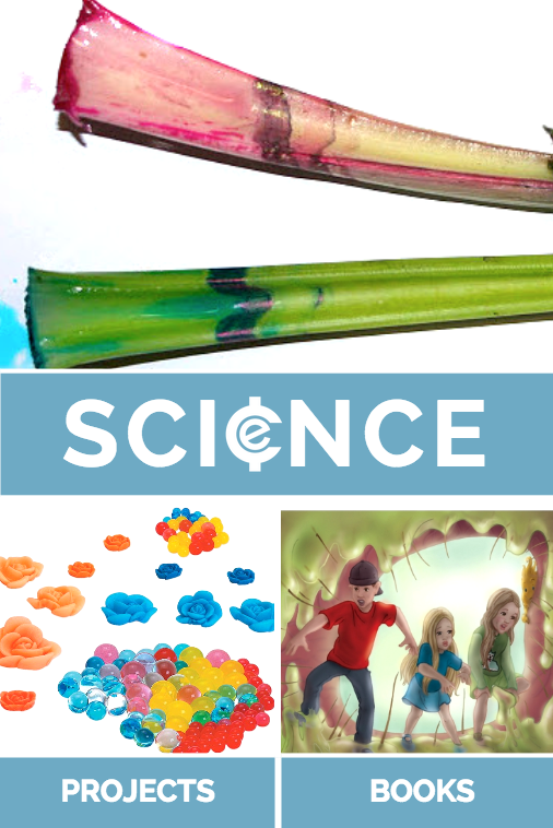 Back To School Science Fun From Educents Embark On The Journey back-to-school-science-fun-from-educents-embark-on-the-journey