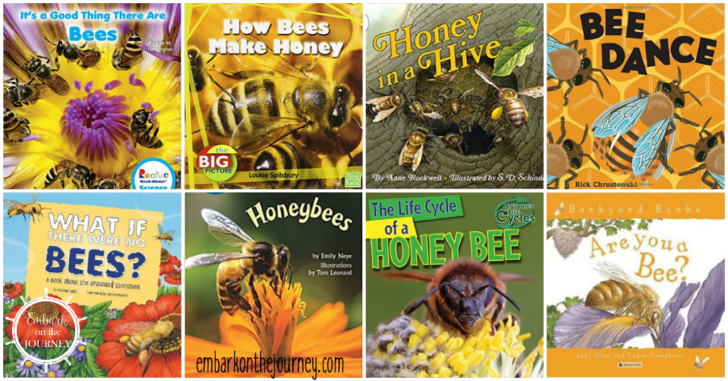 Studying bees this spring? Check out these nonfiction picture books ...