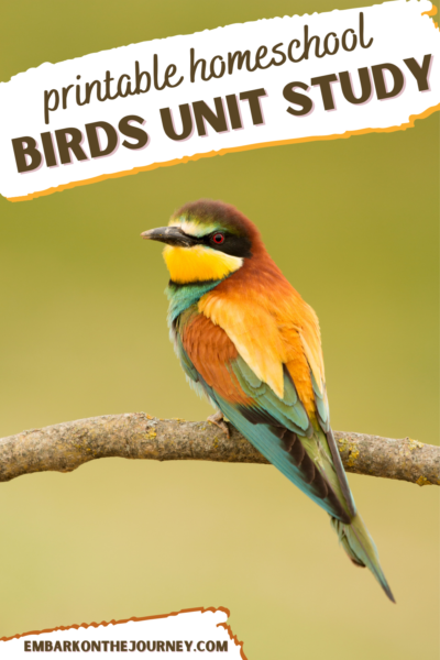 Homeschool Bird Unit Study